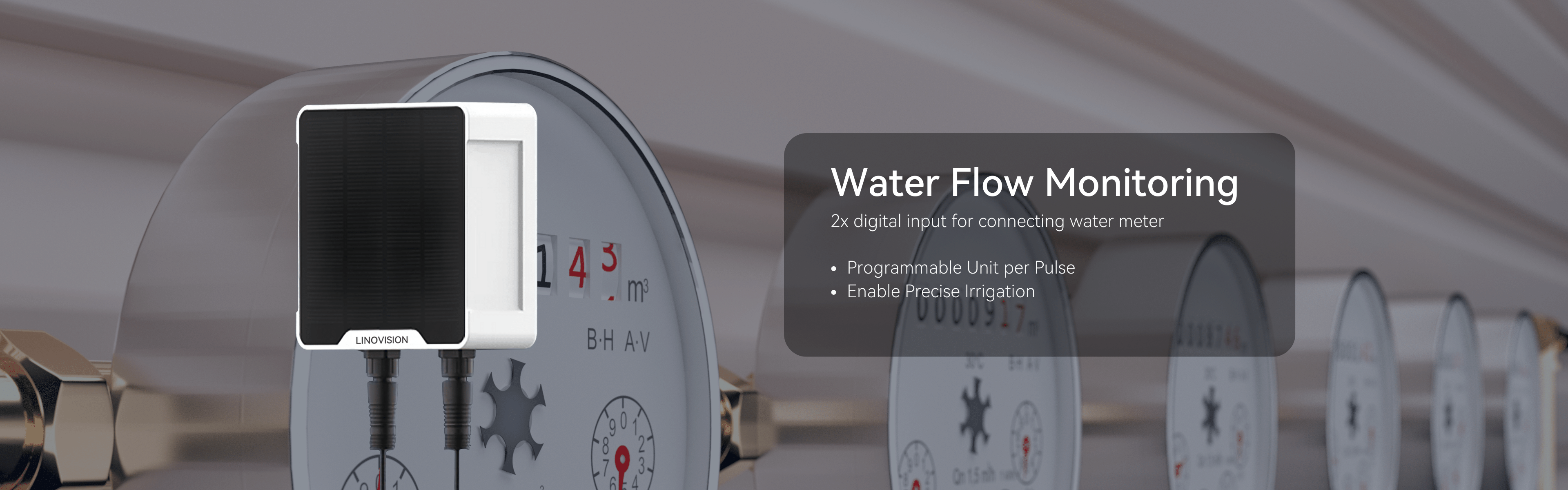 LoRaWAN Solenoid Valve Controller with 2 output and 2 digital input ...